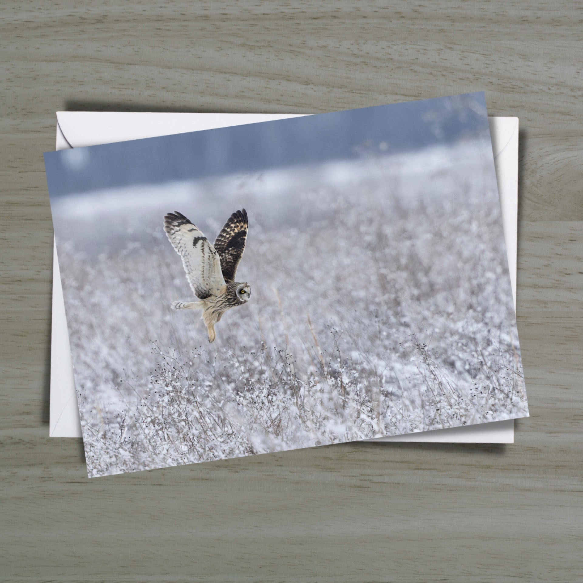 Last chance! MPF Holiday Cards with Owl - Set of 10 | MO Prairie Foundation