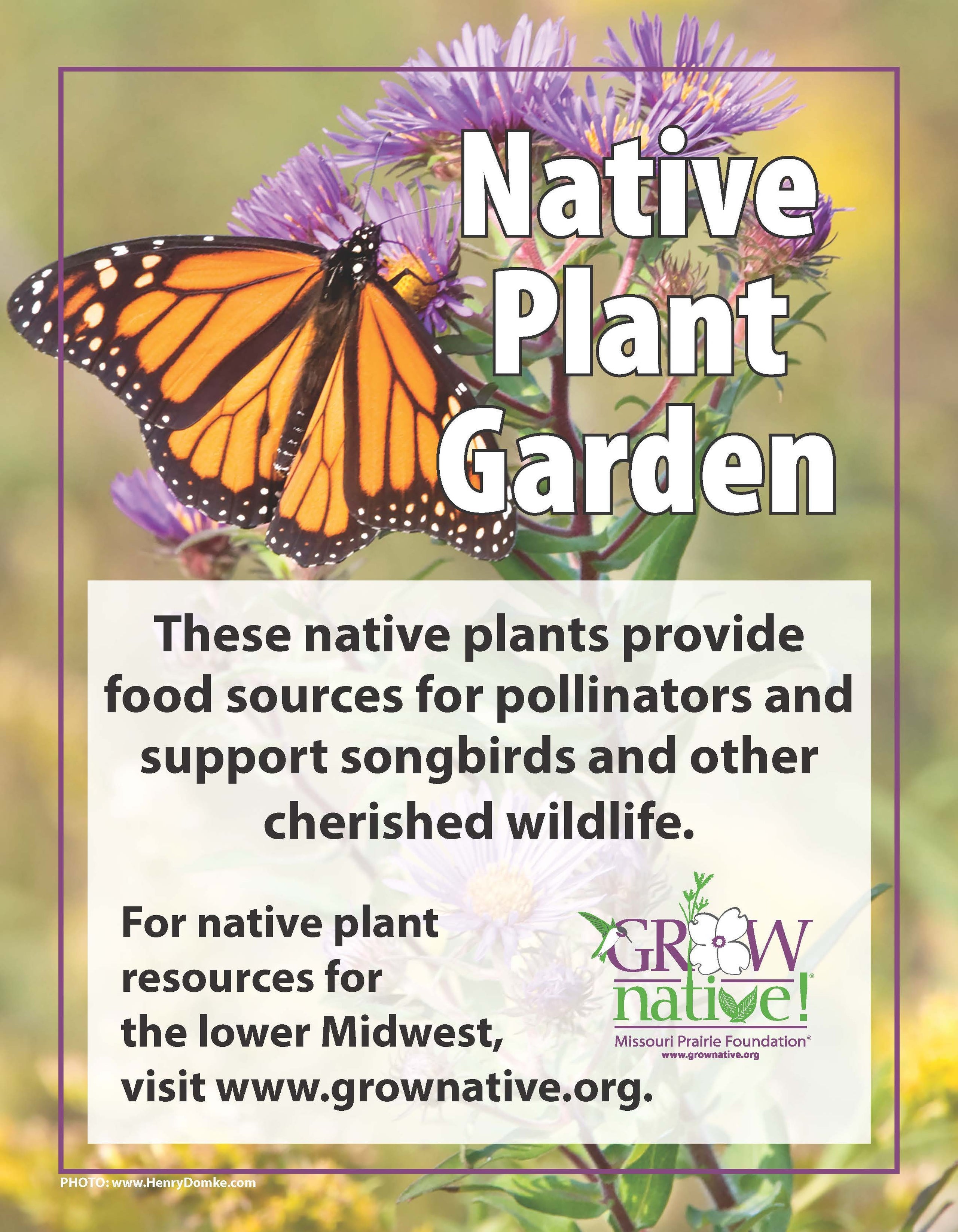 Native Garden Sign - Monarch | MO Prairie Foundation